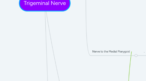 Trigeminal Nerve | MindMeister Mind map