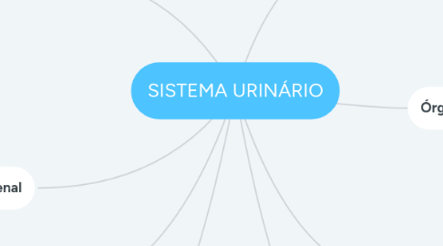 SISTEMA URINÁRIO | MindMeister Mapa mental