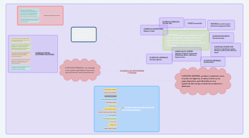 GLANDULAS EXOCRINAS Y MIXTAS | MindMeister Mapa mental