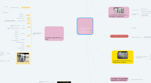 NORMAS Y LEYES PARA LA INTERPRETACION RADIOGRAFICA | MindMeister Mapa mental