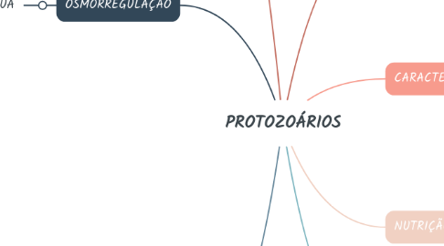 PROTOZOÁRIOS | MindMeister Mapa mental