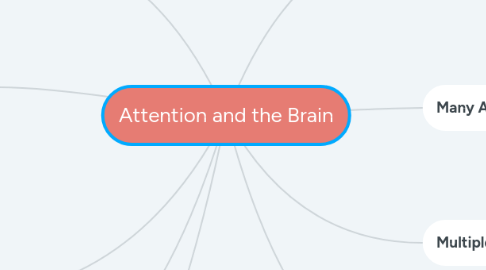 Attention and the Brain | MindMeister Mind Map