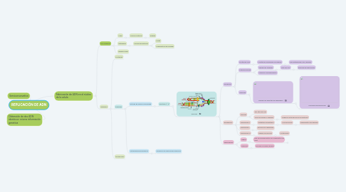 Mapa Conceptual De Replicacion