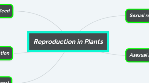 Reproduction in Plants | MindMeister Mind map