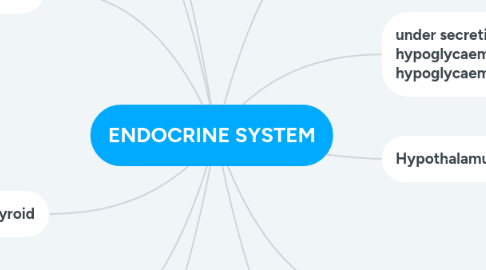 ENDOCRINE SYSTEM | MindMeister Mind map