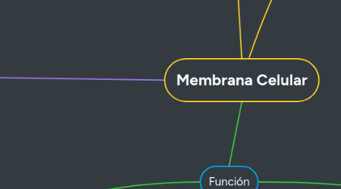 Membrana Celular | MindMeister Mapa mental