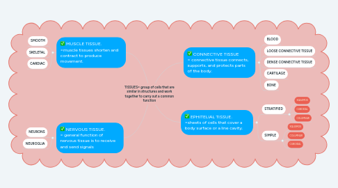 TISSUES= group of cells that are similar in struc... | MindMeister Mind Map