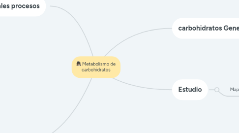 Metabolismo de carbohidratos | MindMeister Mapa mental Metabolismo de carbohidratos | MindMeister Mapa mental
