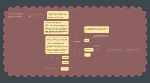 Essay plan | MindMeister Mind map