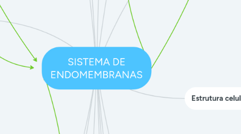 SISTEMA DE ENDOMEMBRANAS | MindMeister Mapa mental