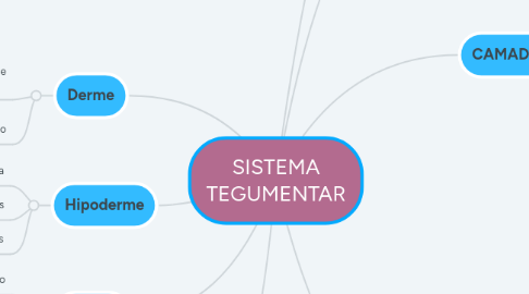 SISTEMA TEGUMENTAR | MindMeister Mapa Mental
