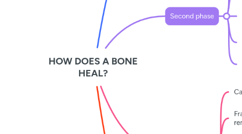 HOW DOES A BONE HEAL? | MindMeister Mind map
