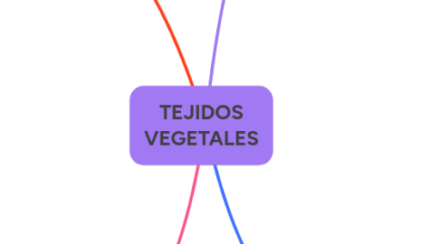 TEJIDOS VEGETALES | MindMeister Mapa mental