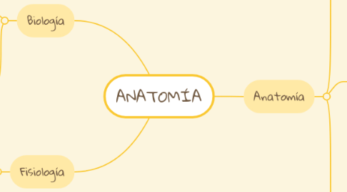 ANATOMÍA | MindMeister Mapa Mental