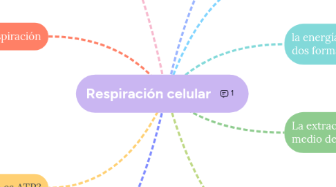 Respiración celular | MindMeister Mapa mental