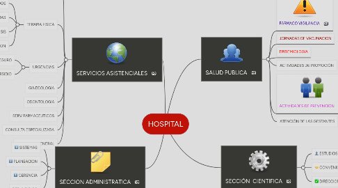 HOSPITAL | MindMeister Mapa mental