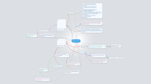 PROTOCOLOS | MindMeister Mapa Mental