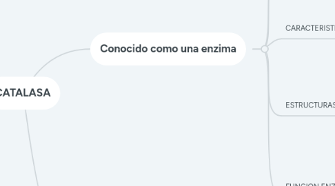 CATALASA | MindMeister Mapa Mental