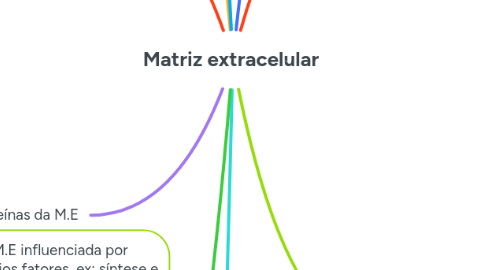 Matriz extracelular | MindMeister Mapa mental