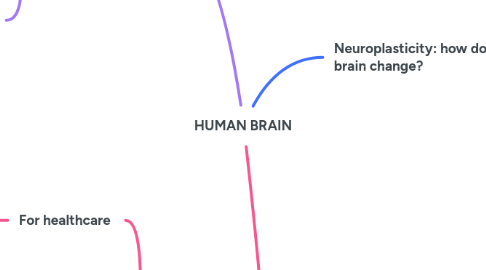 HUMAN BRAIN | MindMeister Mind Map