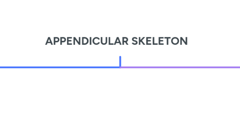 APPENDICULAR SKELETON | MindMeister Mind Map
