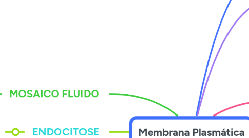 Membrana Plasmática | MindMeister Mapa mental
