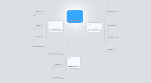GERENTE GENERAL | MindMeister Mapa mental