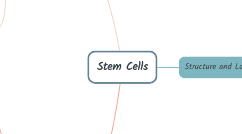 Stem Cells | MindMeister Mind Map