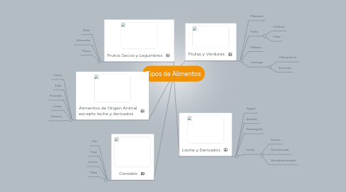 Tipos De Alimentos Mind Map | My XXX Hot Girl