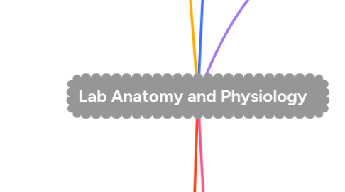 Lab Anatomy and Physiology | MindMeister Mind Map