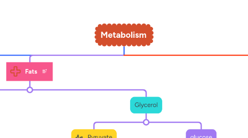 Metabolism | MindMeister Mind Map