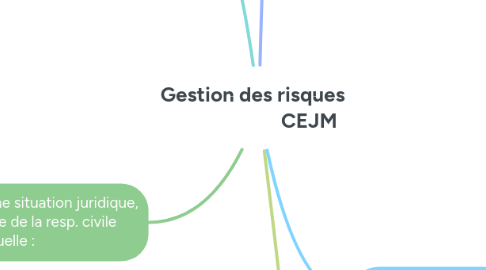 Gestion des risques CEJM | MindMeister Carte mentale
