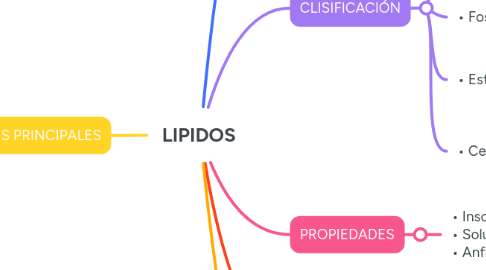 LIPIDOS | MindMeister Mapa Mental