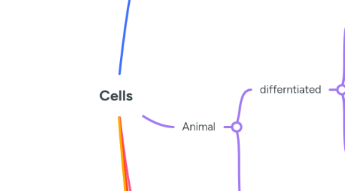 Cells | MindMeister Mind Map