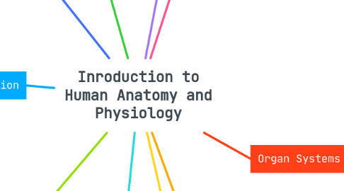 Inroduction to Human Anatomy and Physiology | MindMeister Mind map
