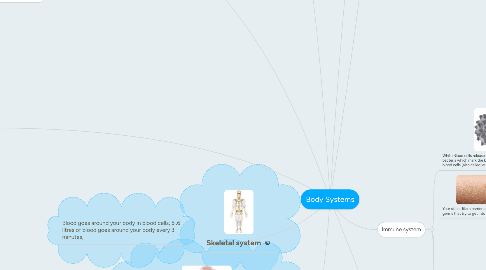 Body Systems | MindMeister Mind map