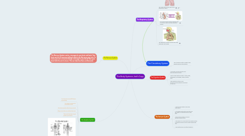 The Body Systems Joel's Copy | MindMeister Mind Map