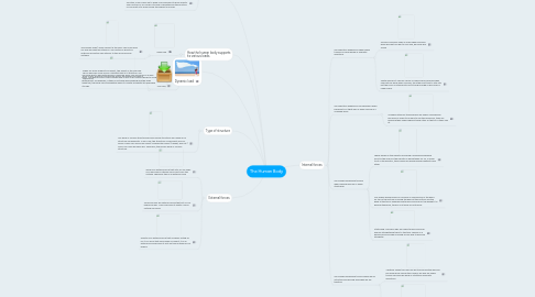 The Human Body | MindMeister Mind Map