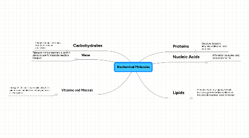 Biochemical Molecules | MindMeister Mind map