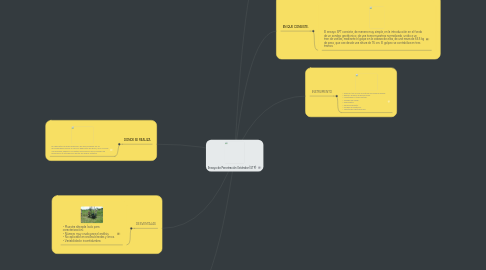 Ensayo de Penetración Estándar (STP) | MindMeister Mapa mental