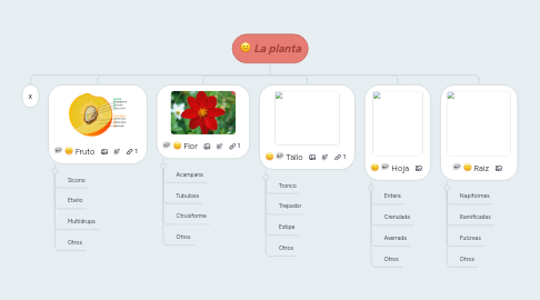 La planta | MindMeister Mind map