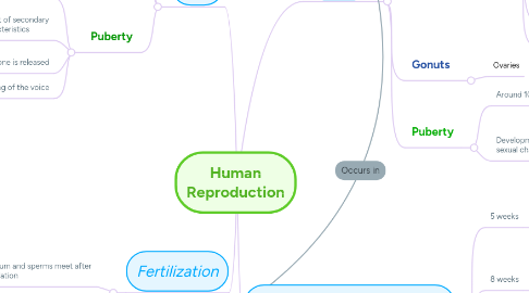Human Reproduction | MindMeister Mind Map