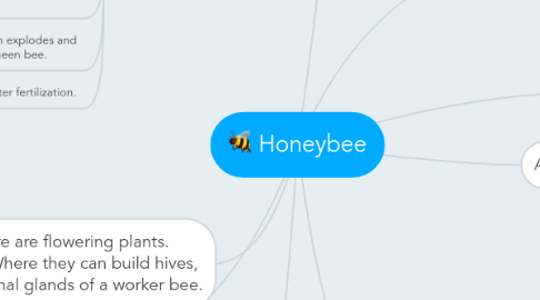 Honeybee | MindMeister Mind Map