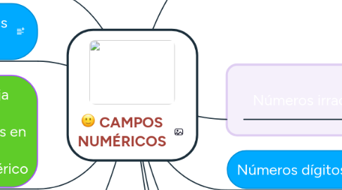 CAMPOS NUMÉRICOS | MindMeister Mapa mental