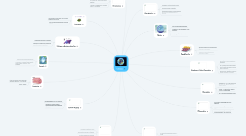 Células | MindMeister Mapa mental