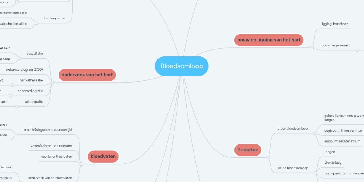 Bloedsomloop | MindMeister Mind Map