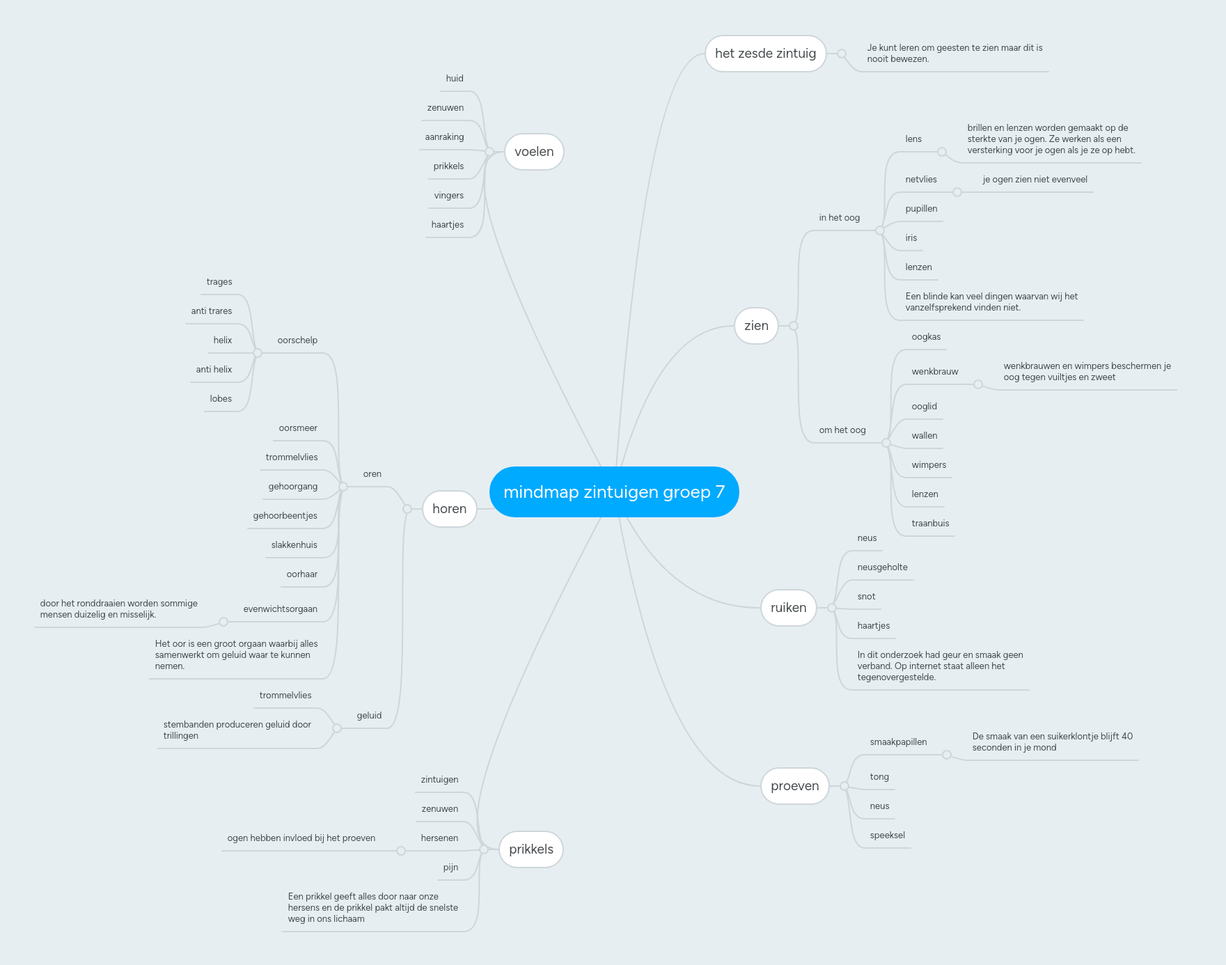 mindmap zintuigen groep 7 | MindMeister Mind Map